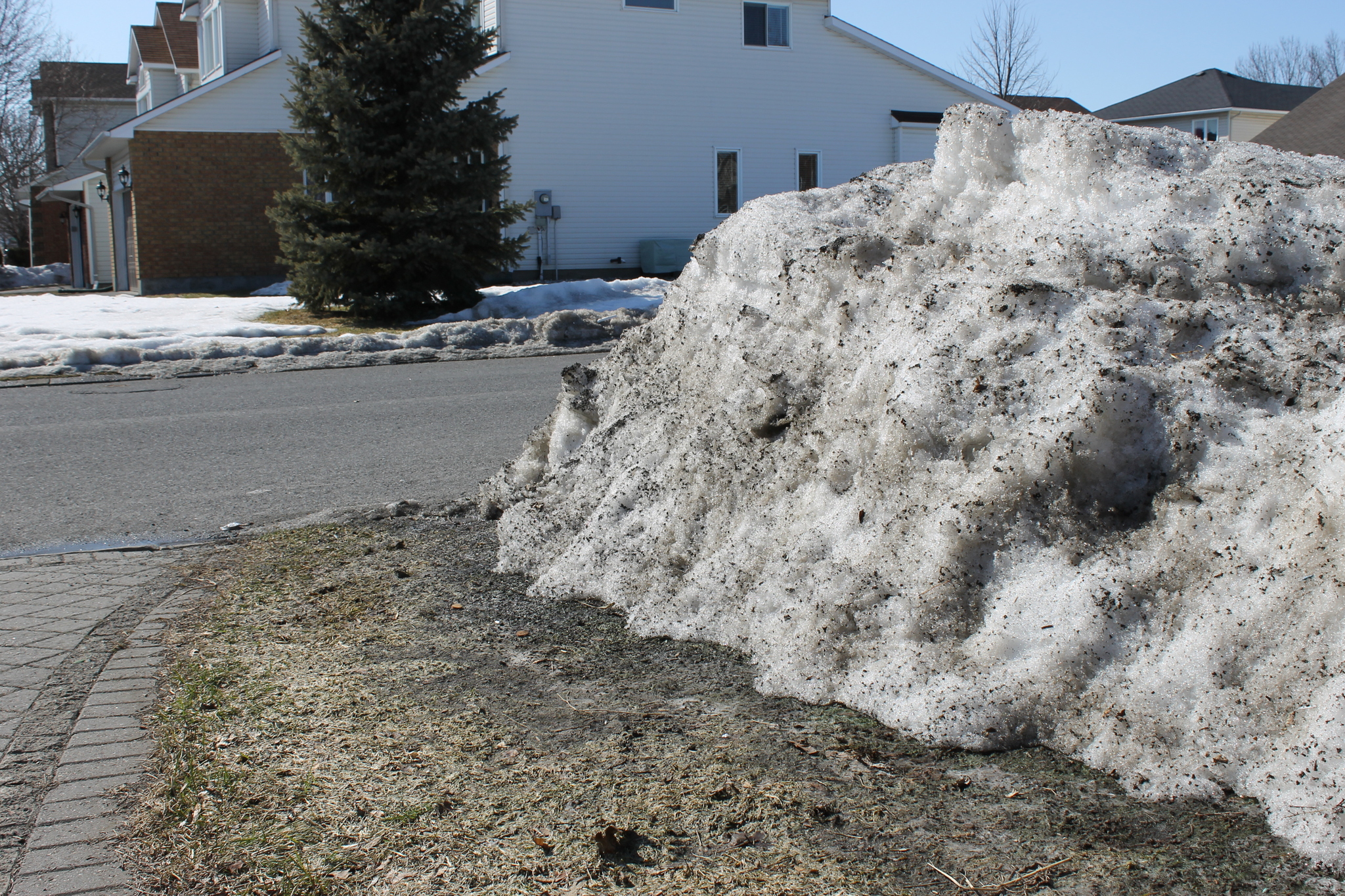 Winter Lawn Tips: Snow Coverage