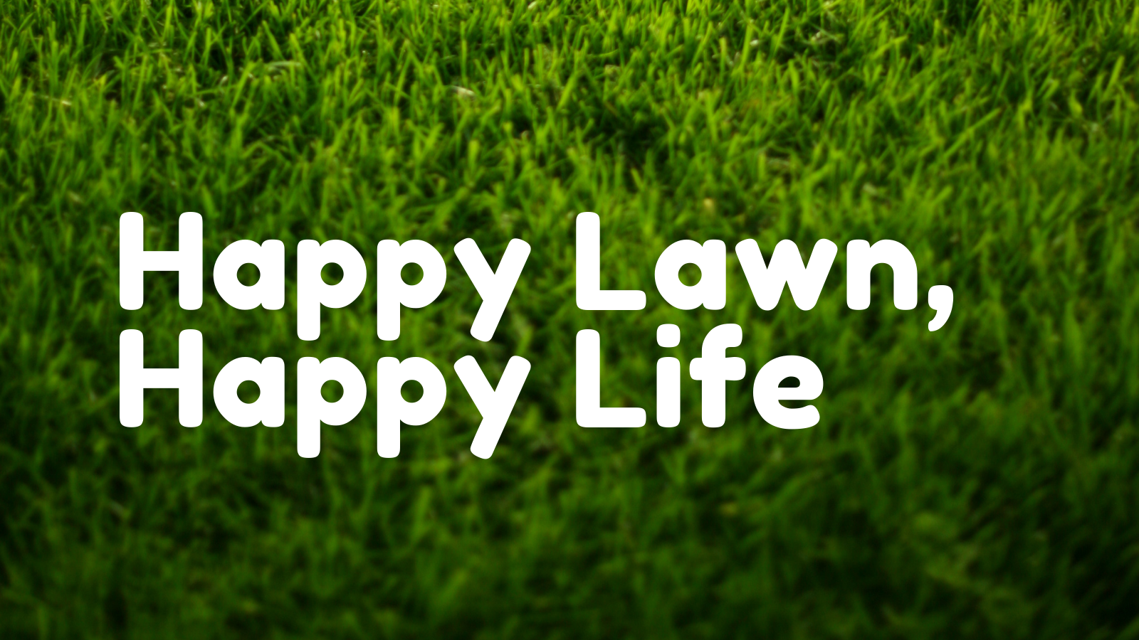 Weed-Proofing Your Lawn