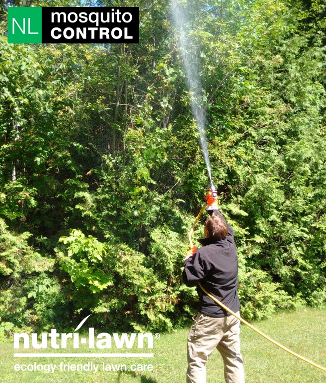 Effective Mosquito Control Products