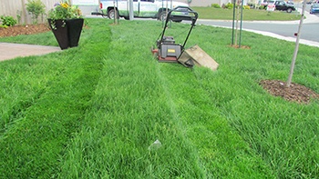 Vertical Slit Seed Results