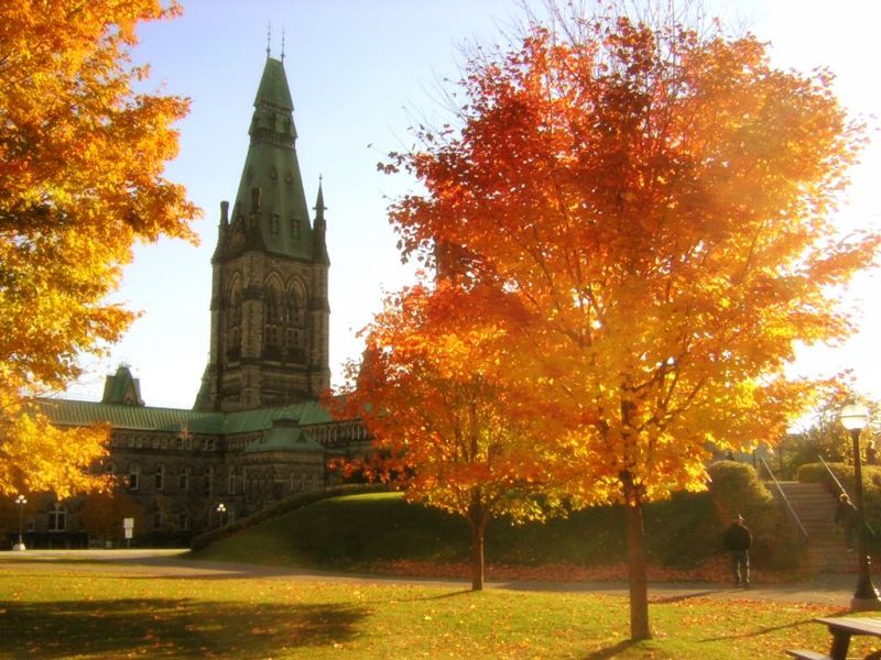Preparing Your Lawn for Fall in Ottawa