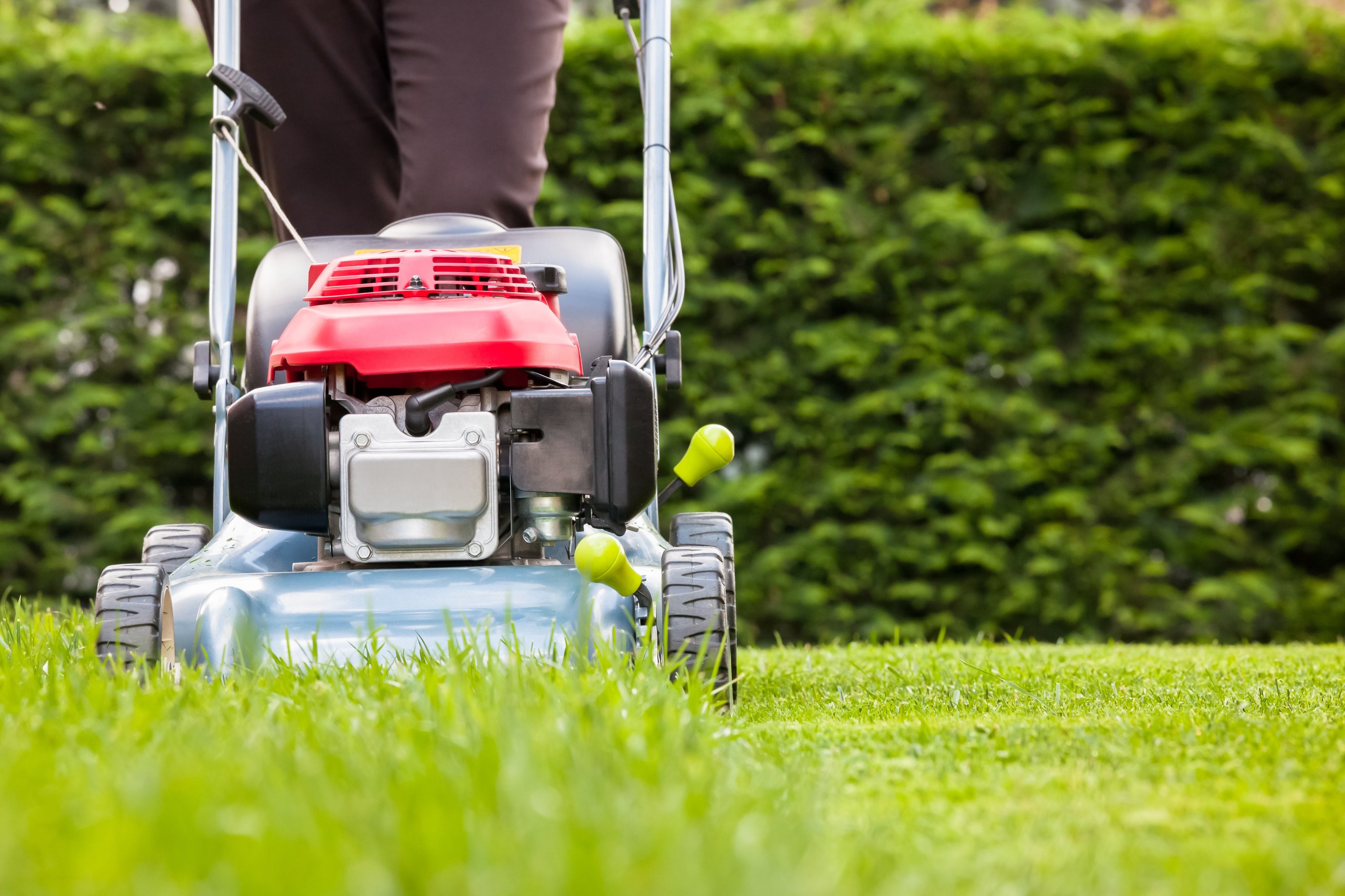 Let's Talk About Your Final Mow