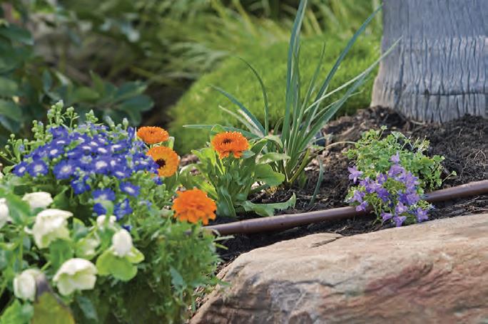 Nutri-Lawn Irrigation – Landscape Drip Irrigation