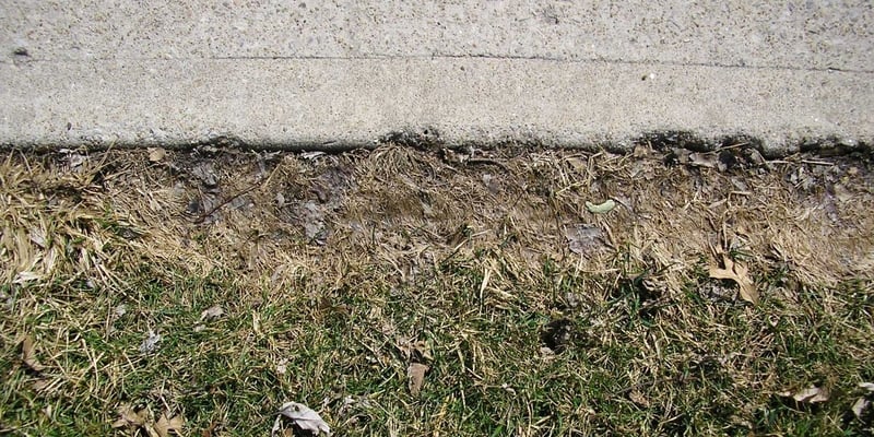 How To Protect Your Lawn From Salt Damage