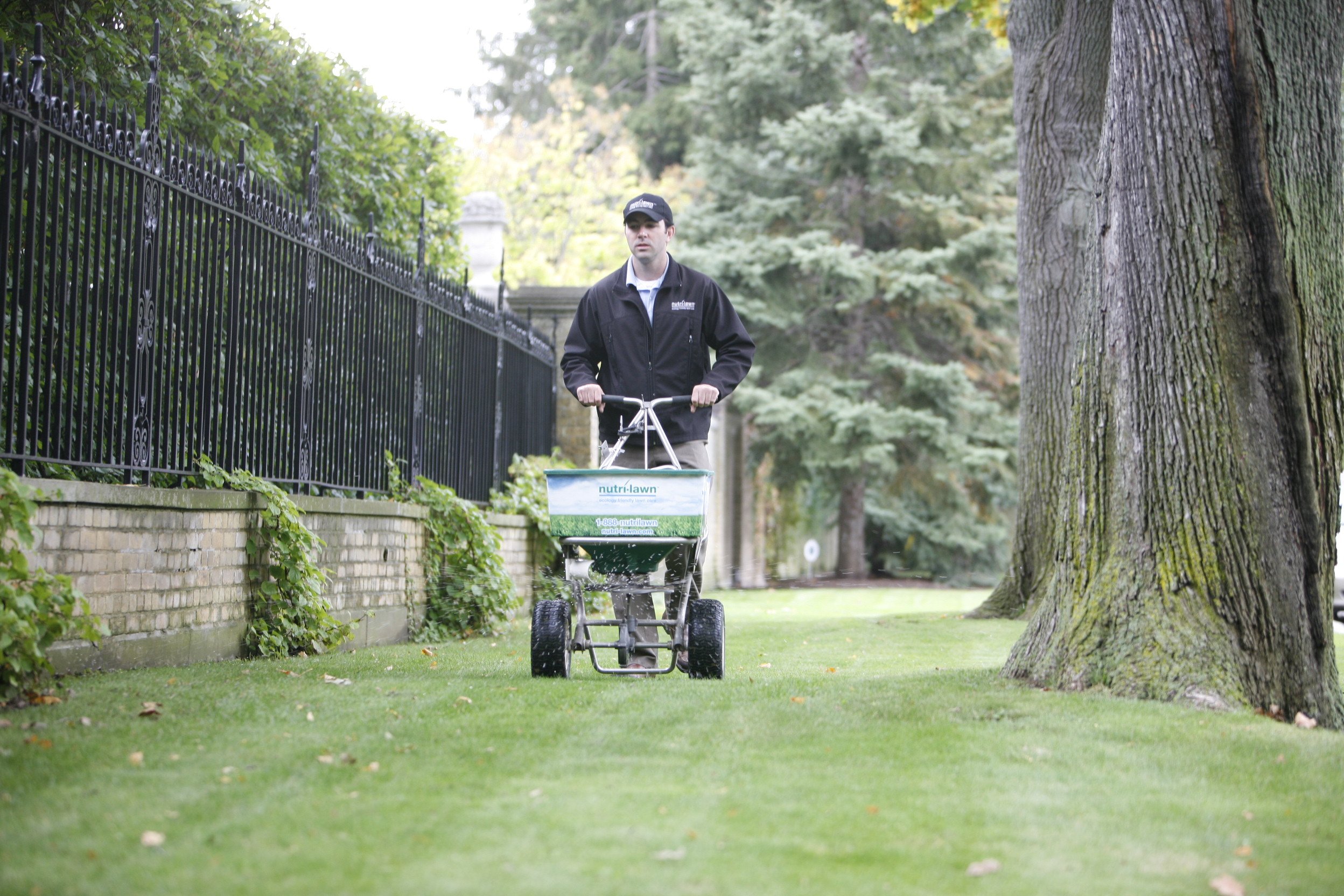 Why You Should Lime Your Lawn In Spring