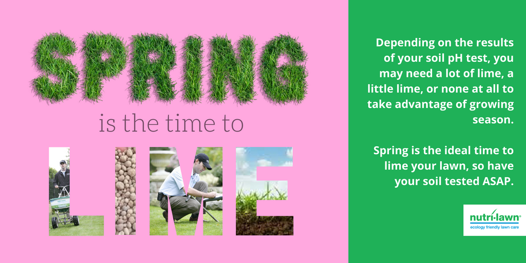 Why You Should Lime Your Lawn In Spring