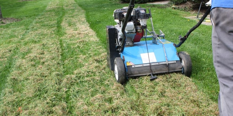 What's The Deal With Lawn Thatch?