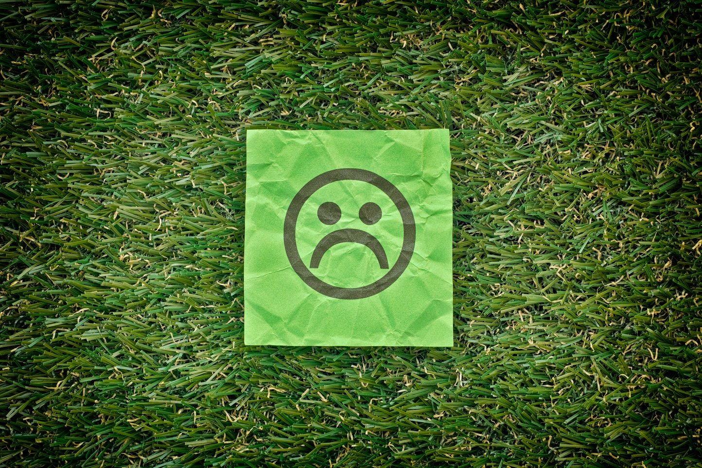 5 Ways To Sabotage Your Lawn Care