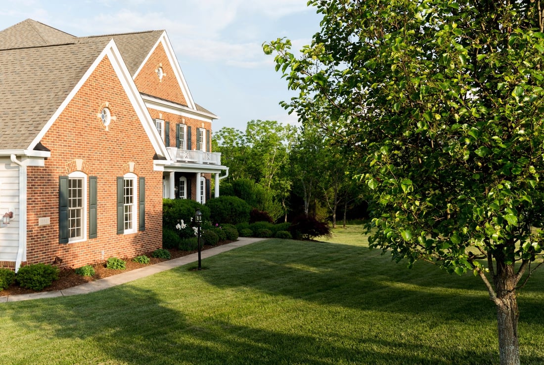 Keep Your Trees Evergreen with Nutri-Lawn Vancouver