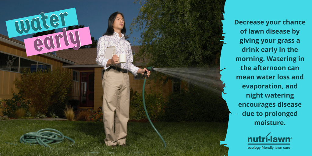 Summer Watering & Coping with Drought Stress